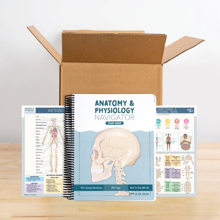 Anatomy & Physiology Navigator Kit™ – NurseInTheMaking