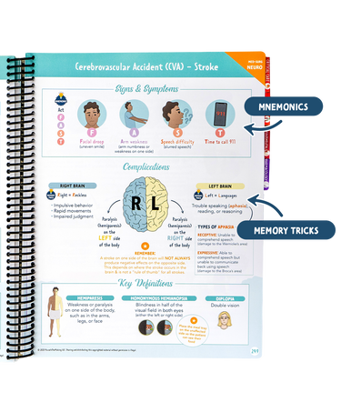 The Complete Nursing School Bundle – NurseInTheMaking