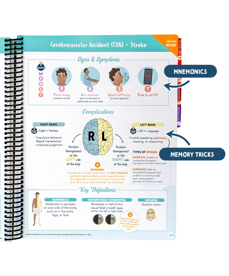 The Complete Nursing School Bundle – NurseInTheMaking