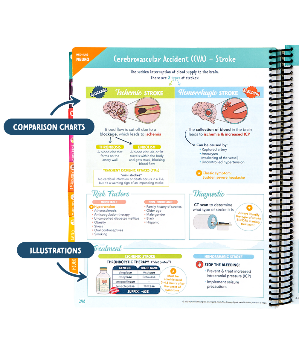 The Complete Nursing School Bundle – NurseInTheMaking