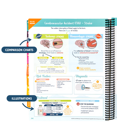 The Complete Nursing School Bundle – NurseInTheMaking