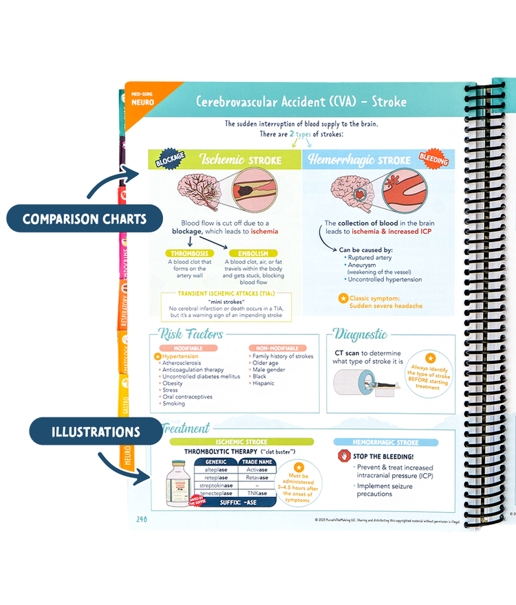 The Complete Nursing School Bundle – NurseInTheMaking