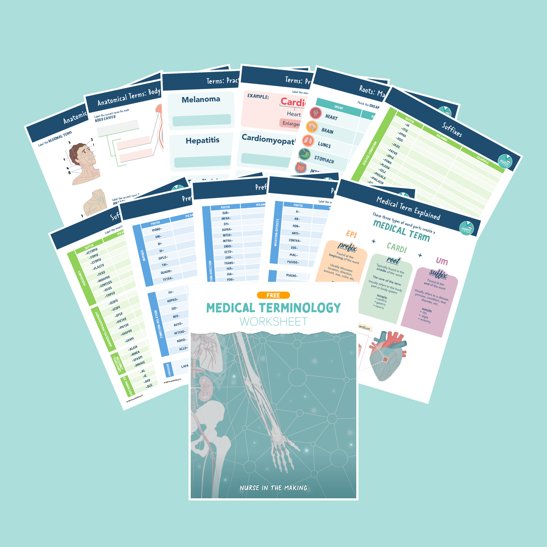 Medical Terminology Worksheet – NurseInTheMaking