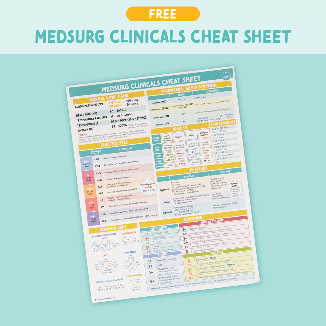 Free Study Guides – NurseInTheMaking