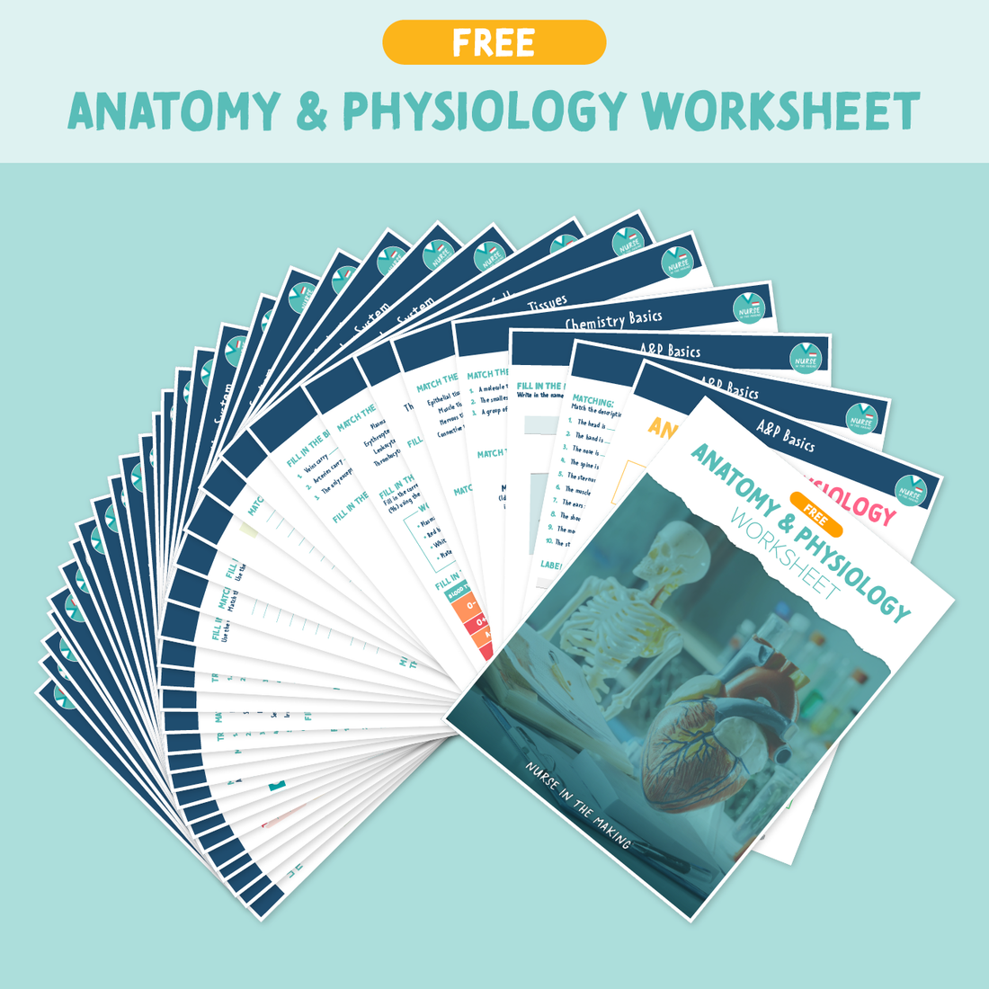 Free Study Guides – NurseInTheMaking