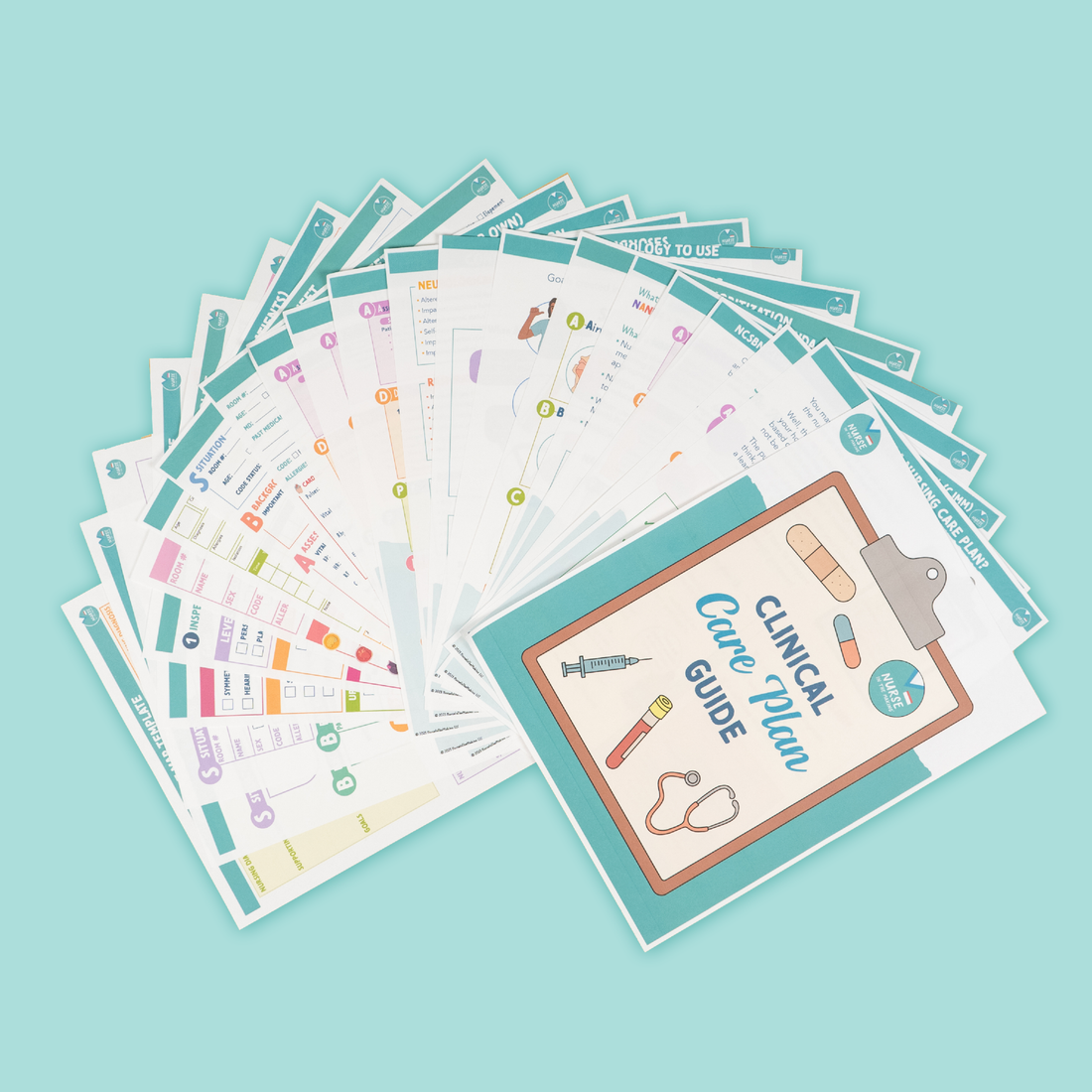 Clinical Care Plan Guide – NurseInTheMaking