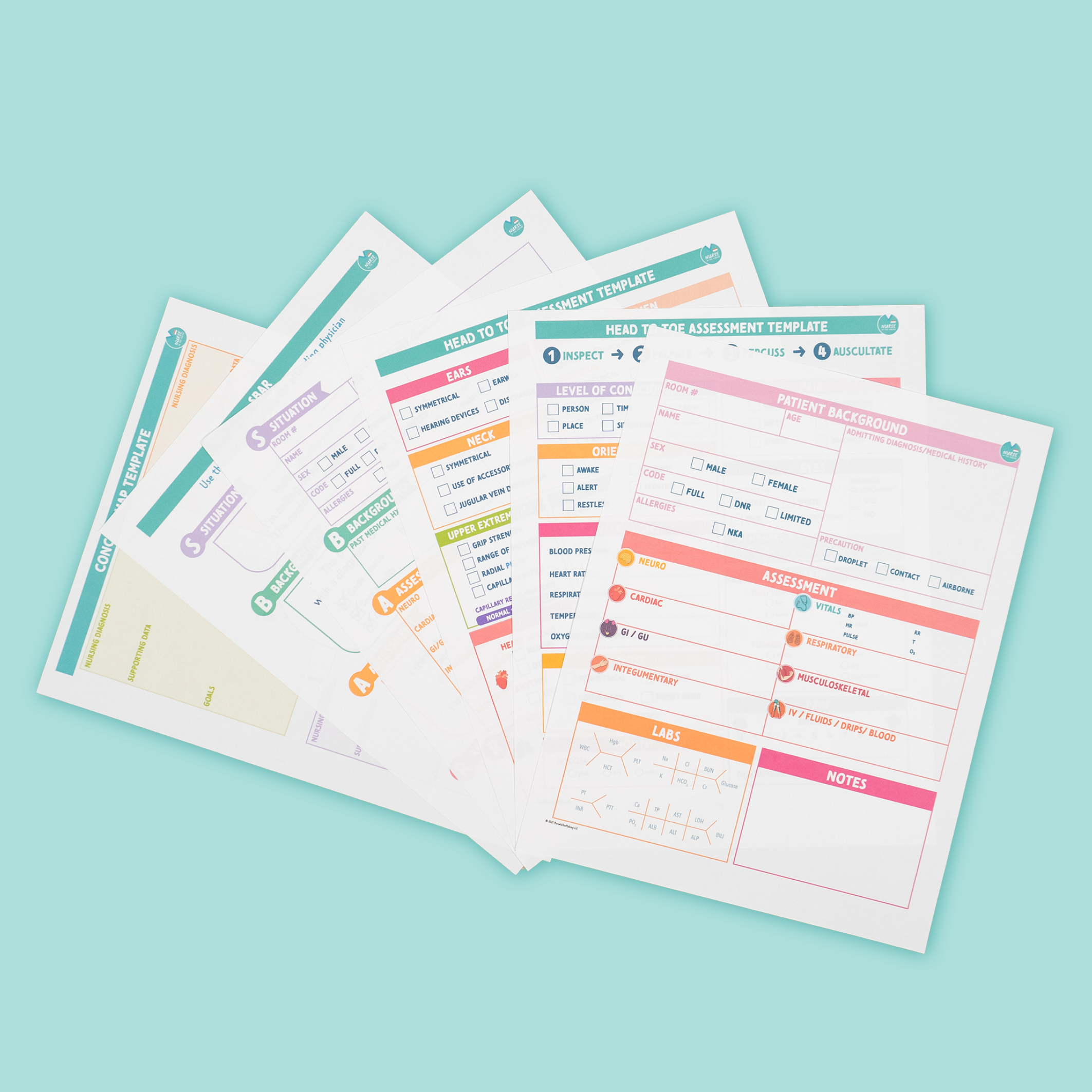 Clinical Template Pack – NurseInTheMaking