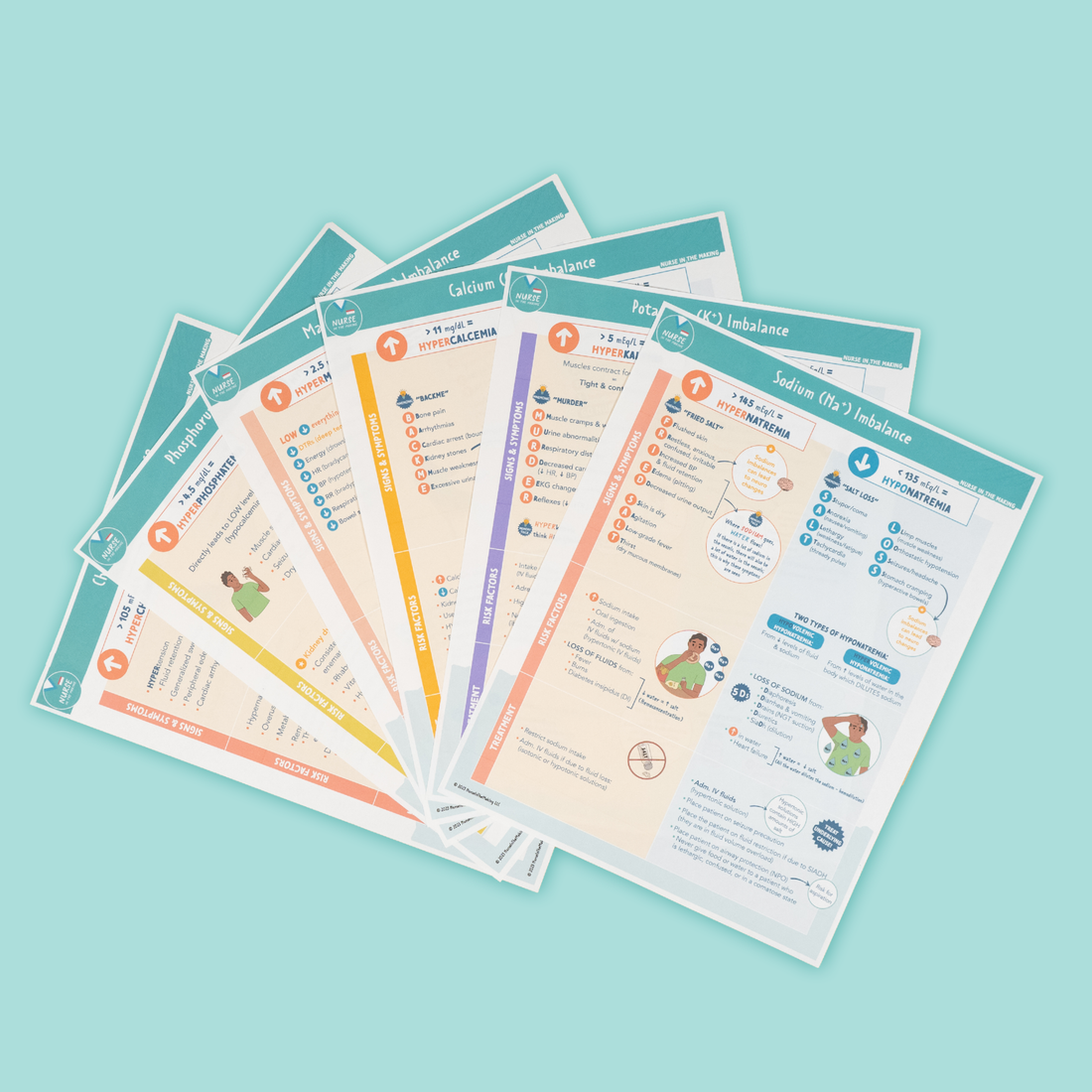 Electrolyte Imbalances Study Guide – NurseInTheMaking