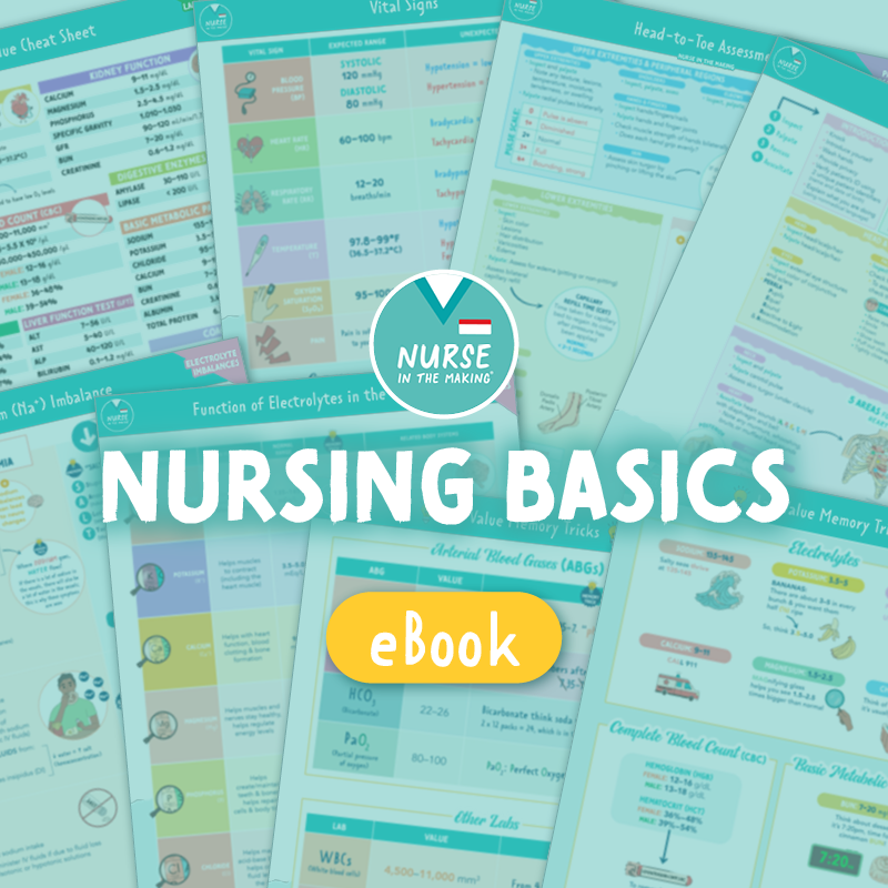 Nursing Basics Study Guide – NurseInTheMaking