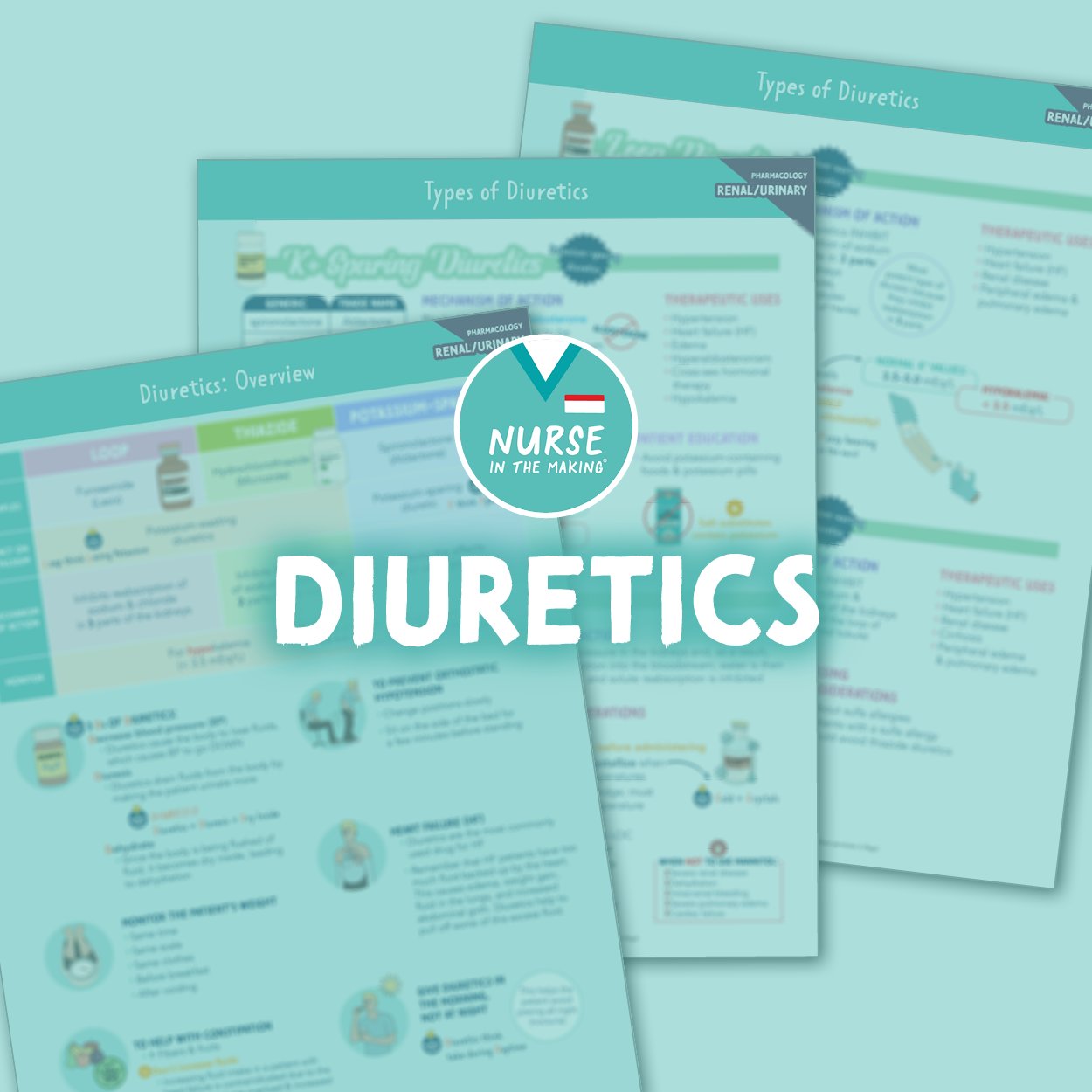 Digital Nursing Notes – NurseInTheMaking