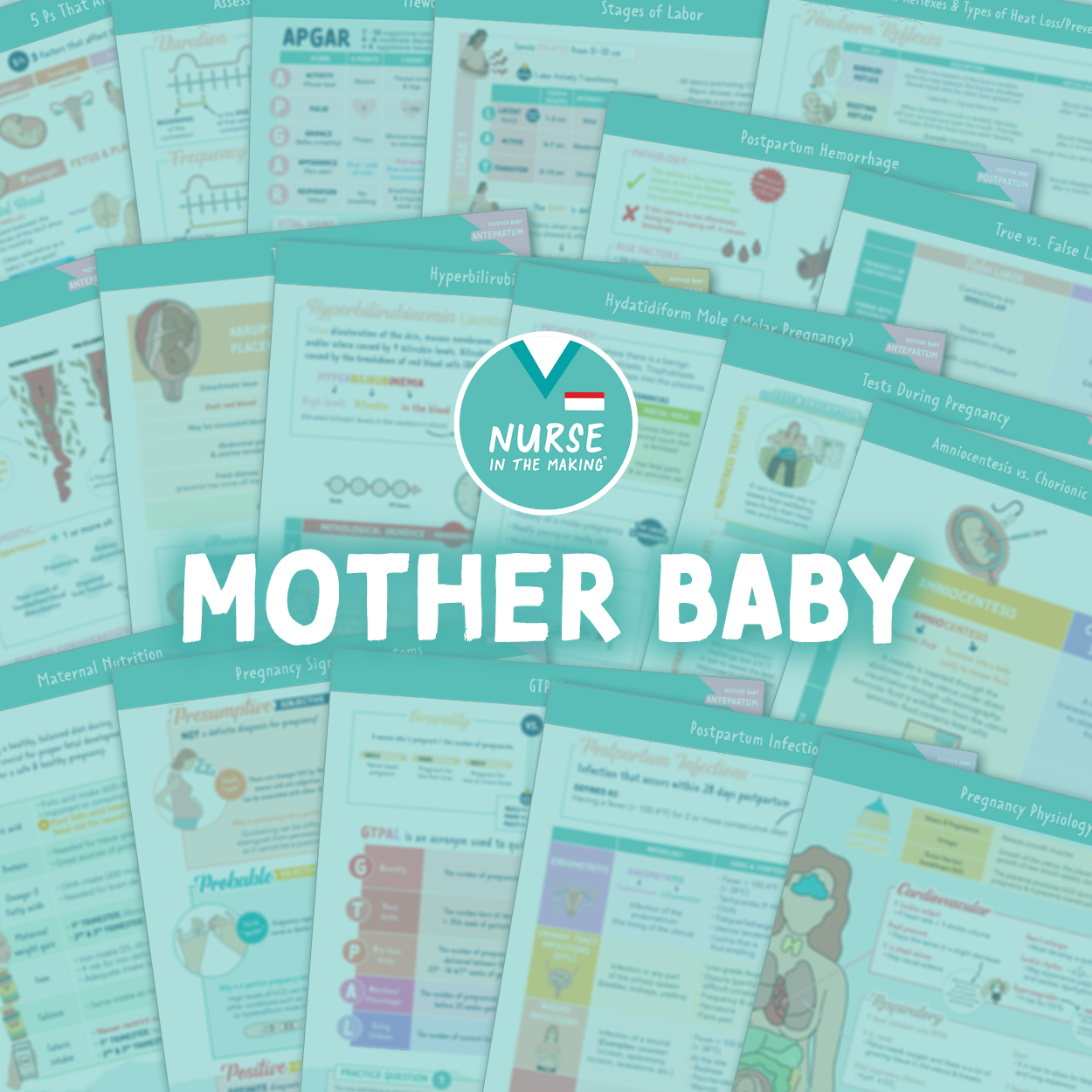 Mother Baby Study Guide – NurseInTheMaking
