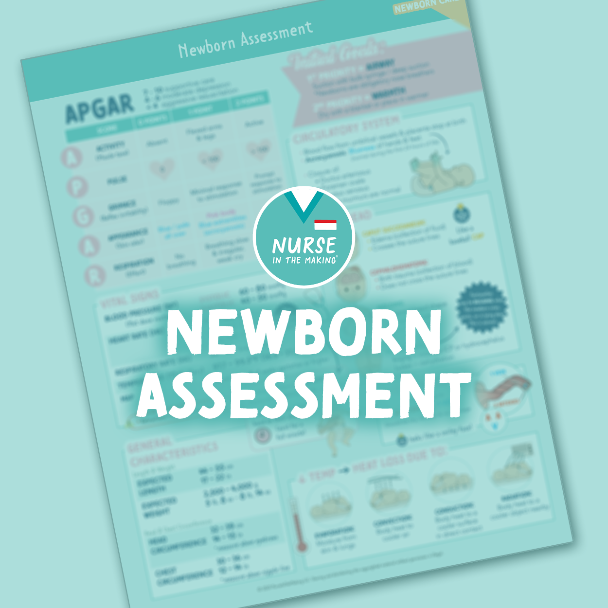 Shop – Page 2 – NurseInTheMaking