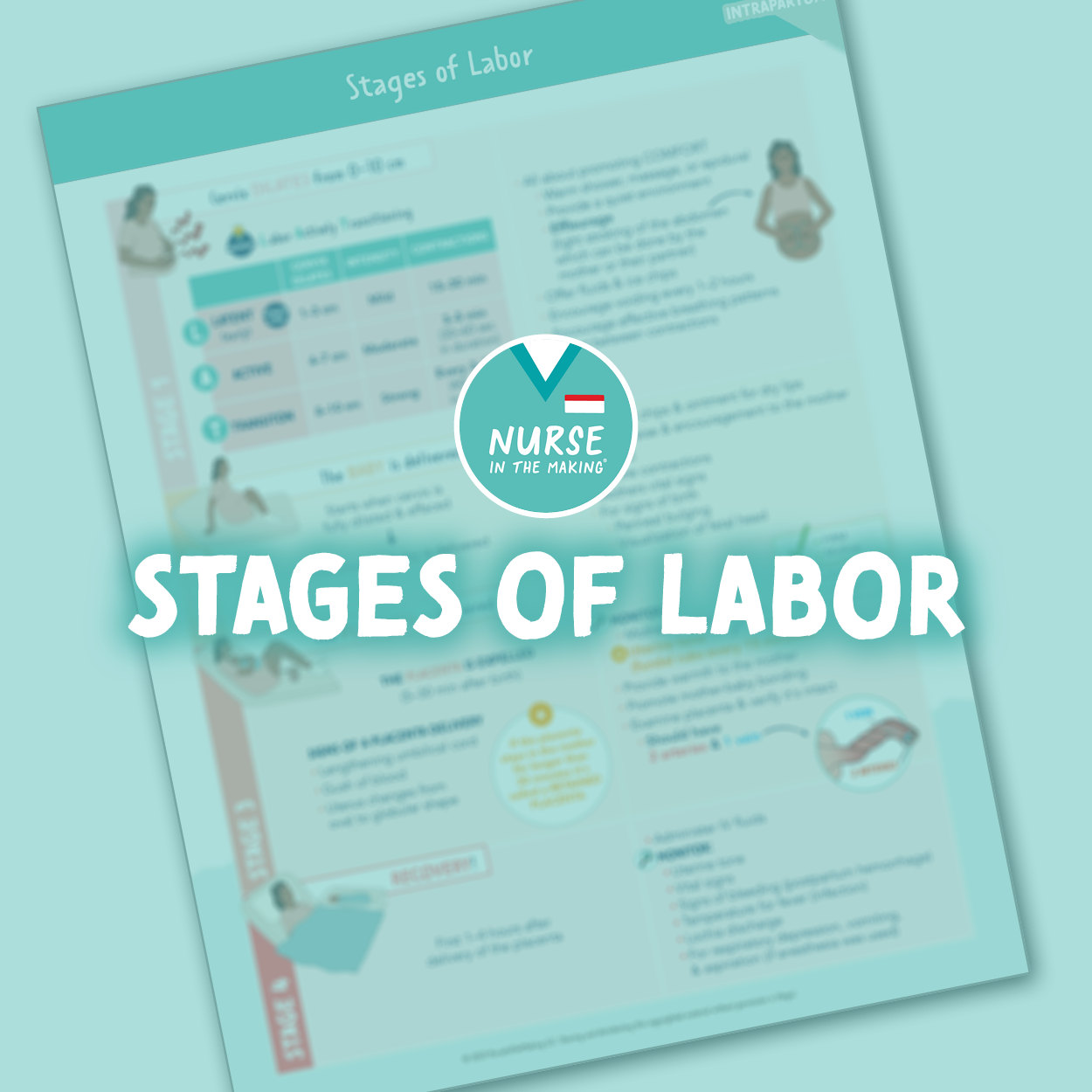 Shop – Page 2 – NurseInTheMaking