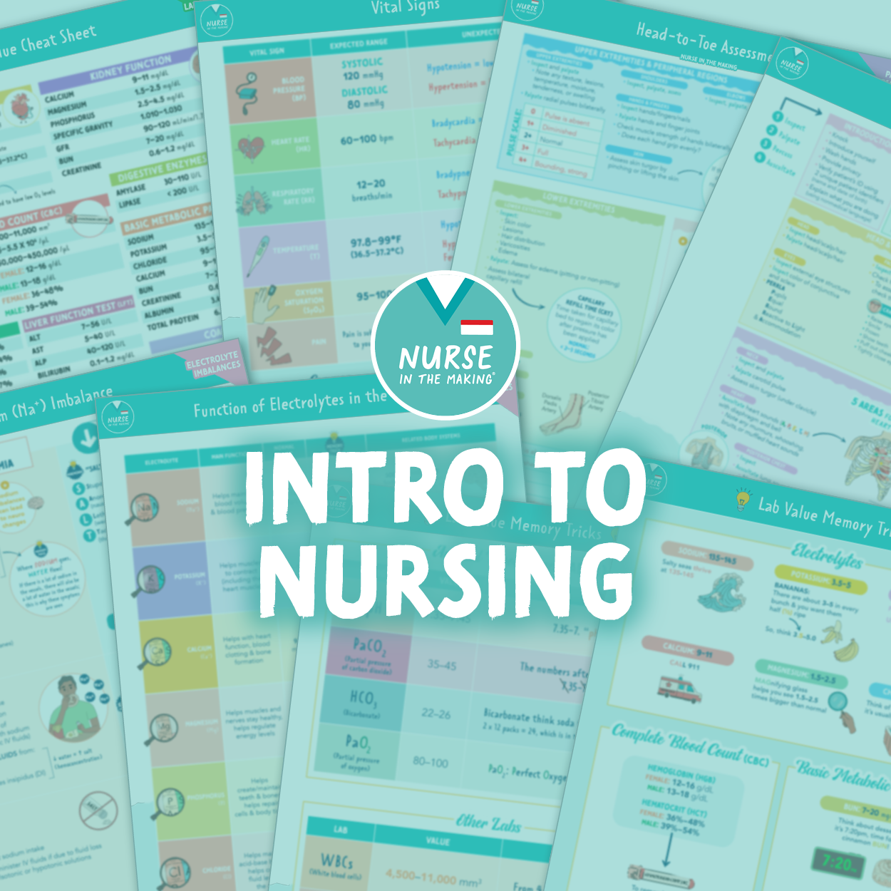 Intro to Nursing Study Guide – NurseInTheMaking