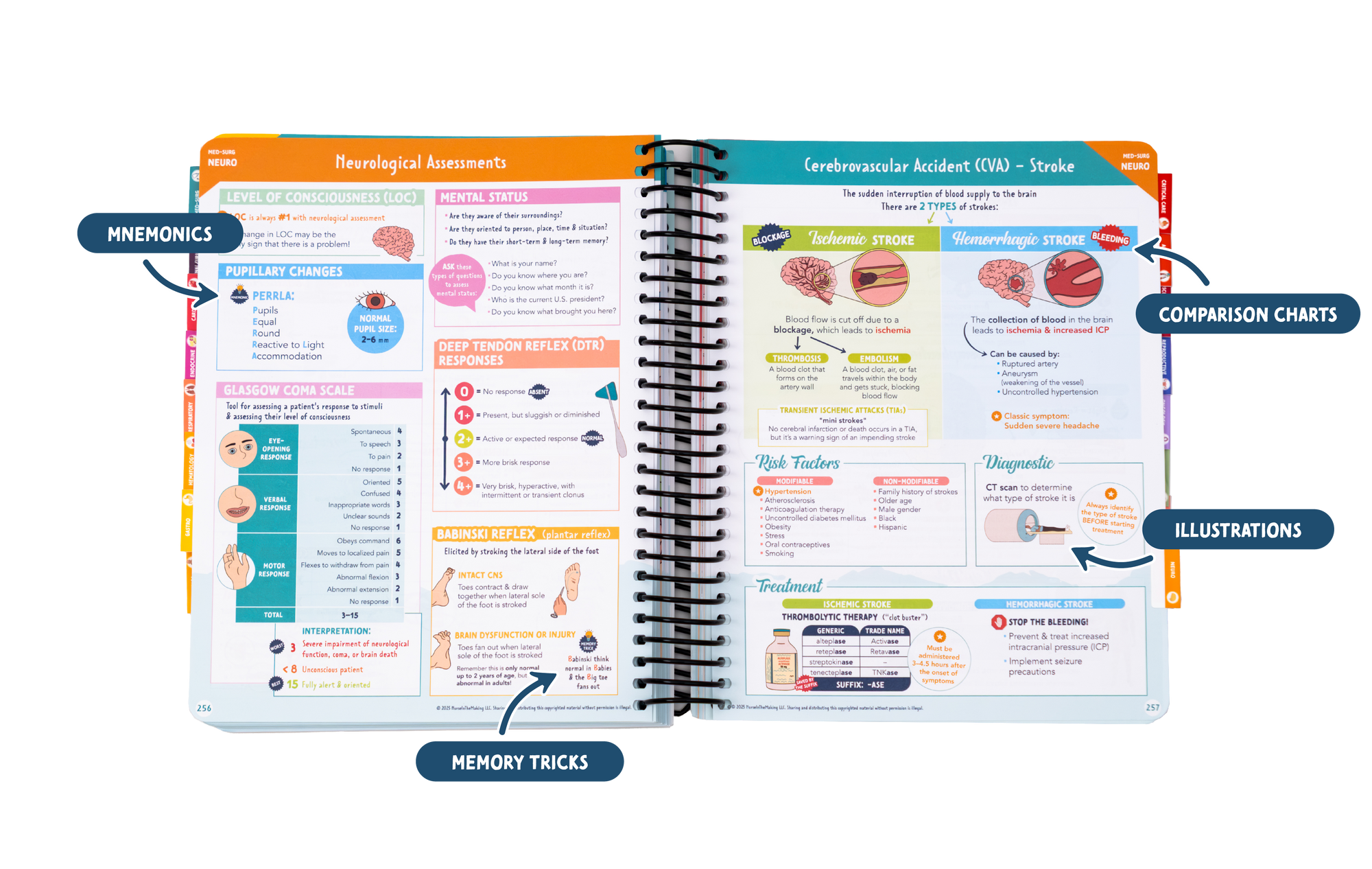 The Complete Nursing School Bundle – NurseInTheMaking